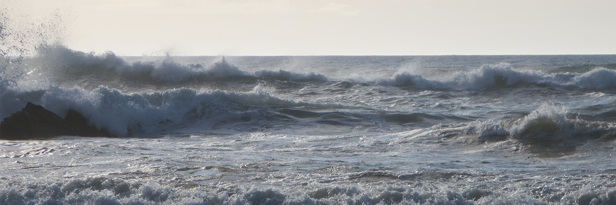 Seatopic - sound competencies in oceanography / hydrography